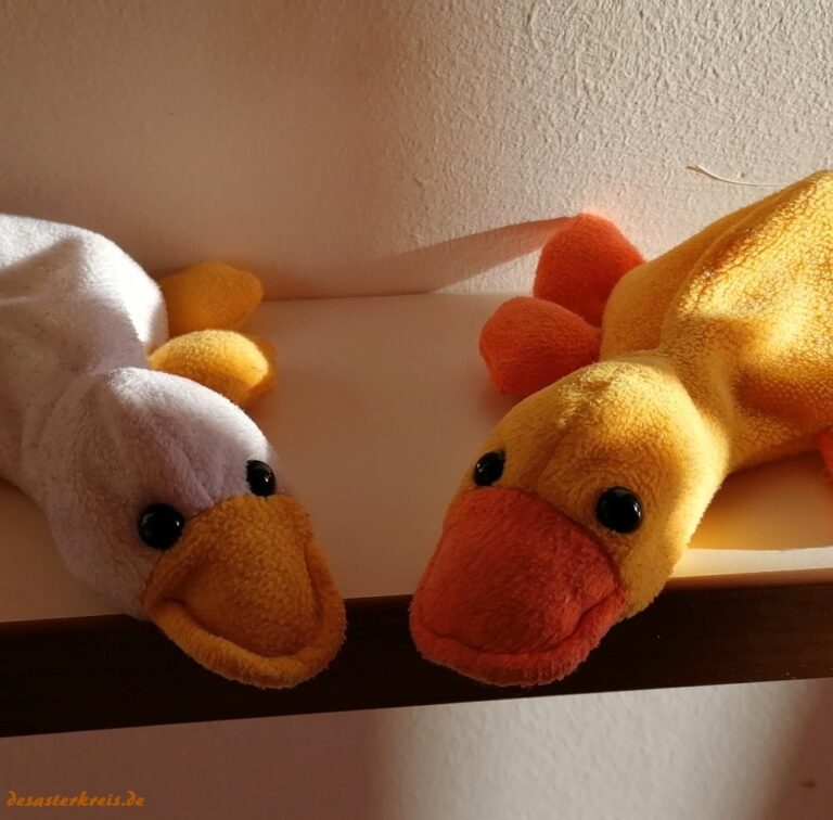 Die Entchen Der DesasterkreisDer Desasterkreis